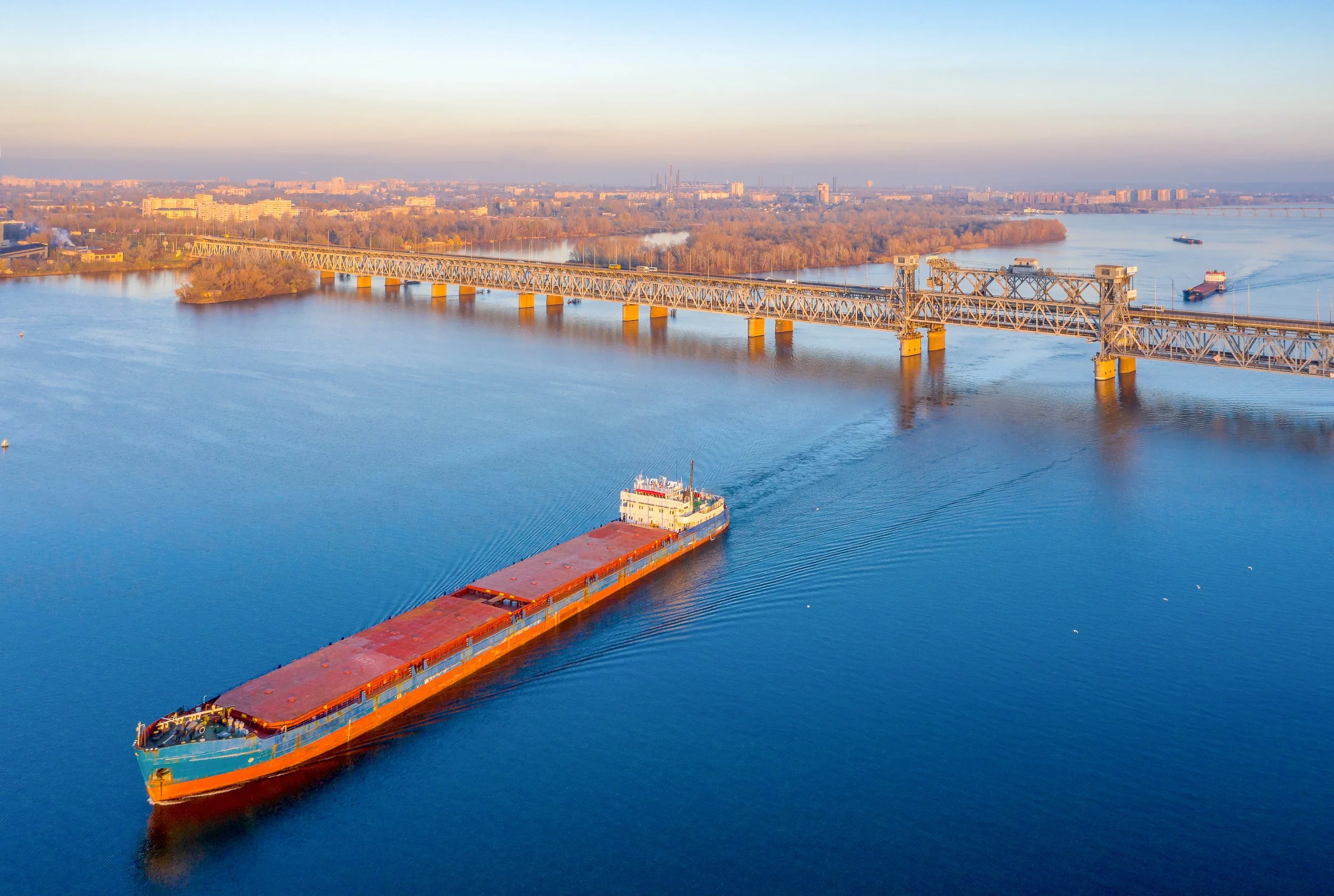 Dry Bulk Commodities — T-BULK