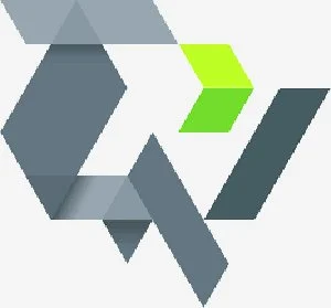 T4V — Gyrus Capital