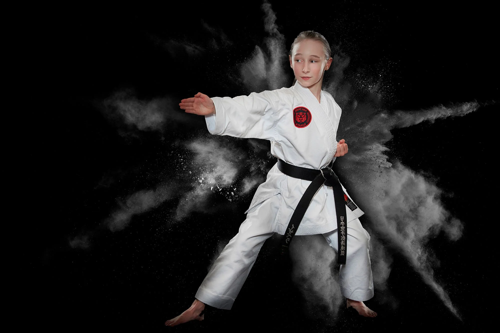 Syllabus - 1st Kyu (Brown and Two White) to Shodan (Black Belt) — Red ...