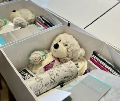 Hospital Support — MOHA