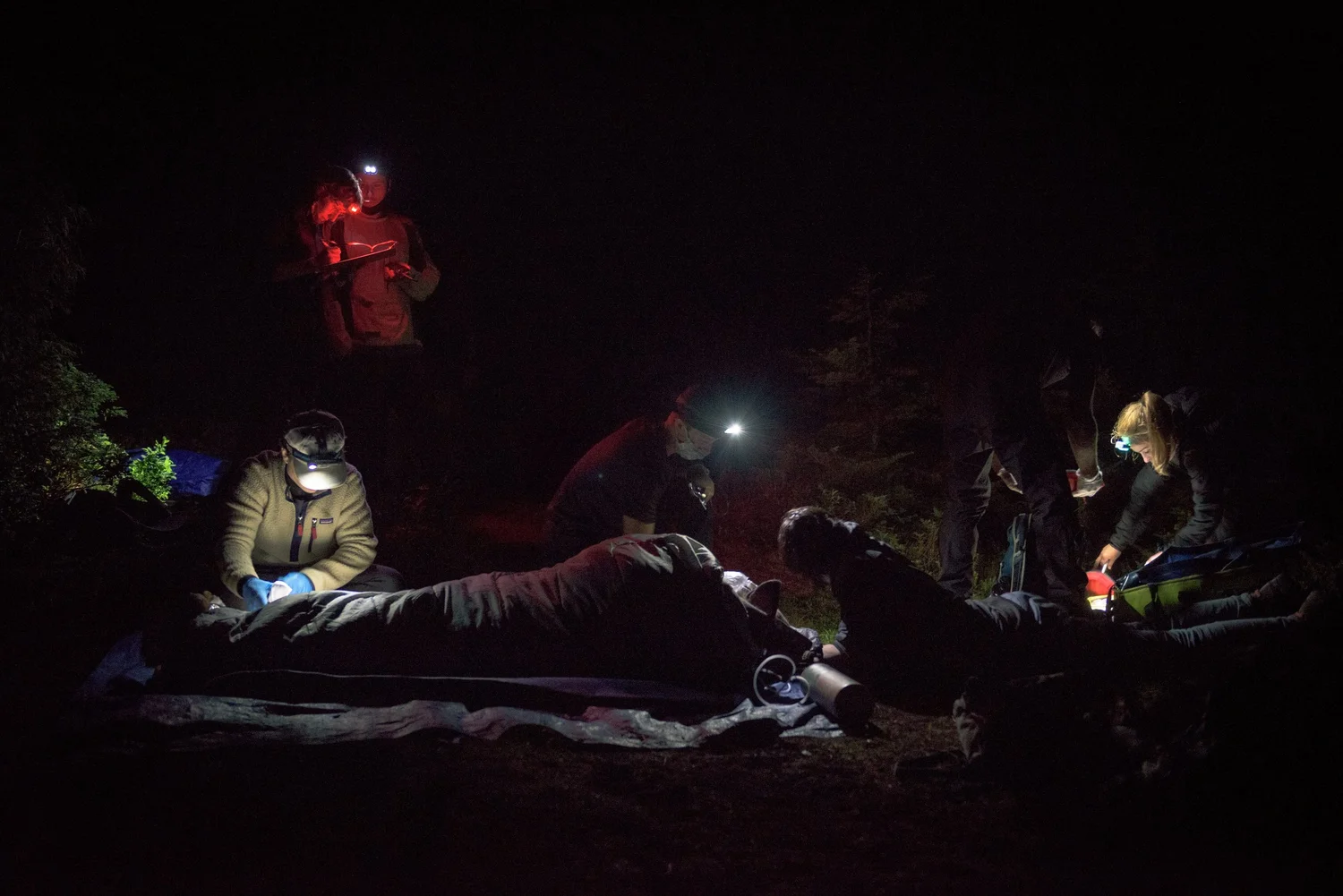 Wilderness First Responder — Coast Wilderness Medical Training