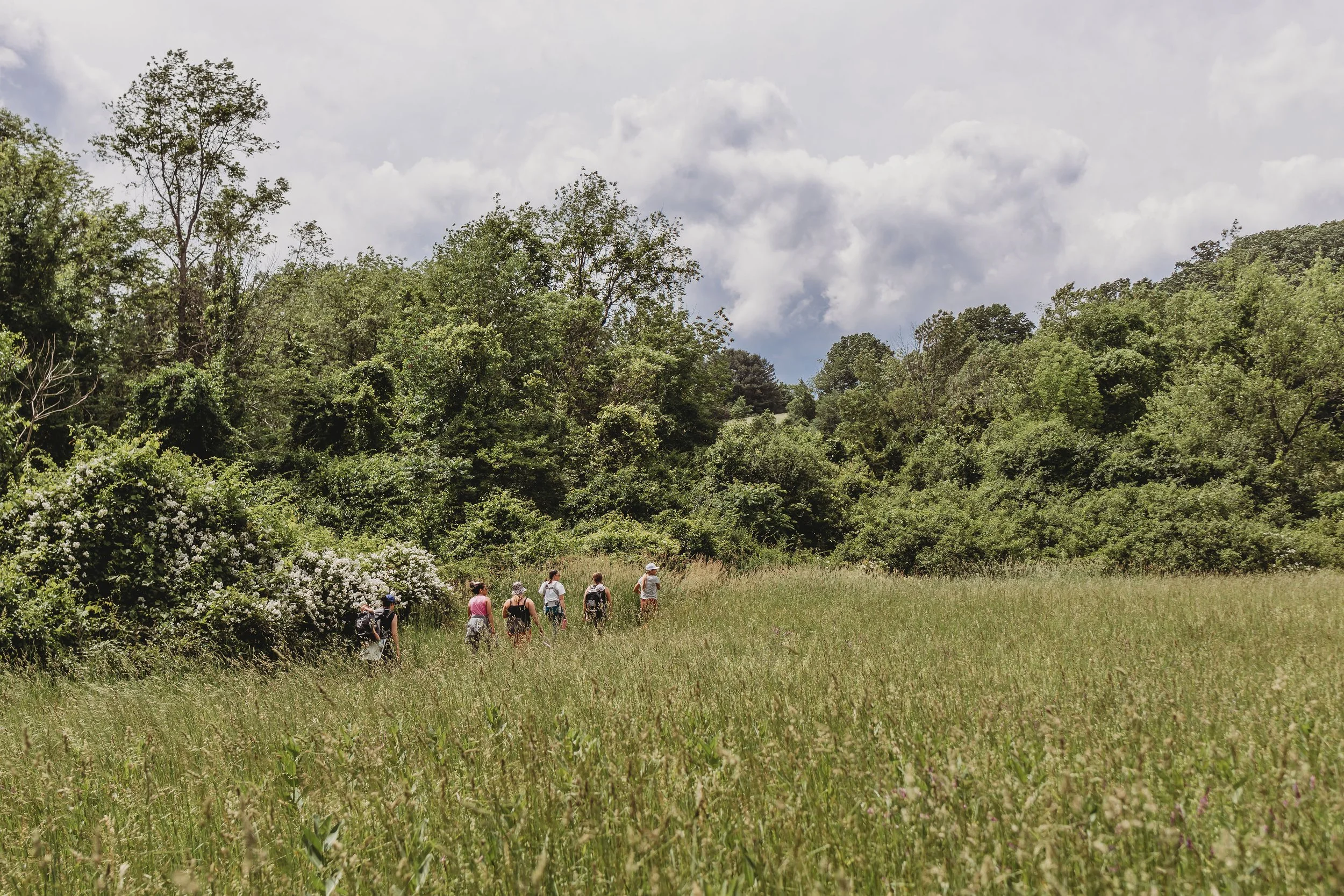 Wanderwild Family Retreats | Wellness Retreats for Moms & Kids