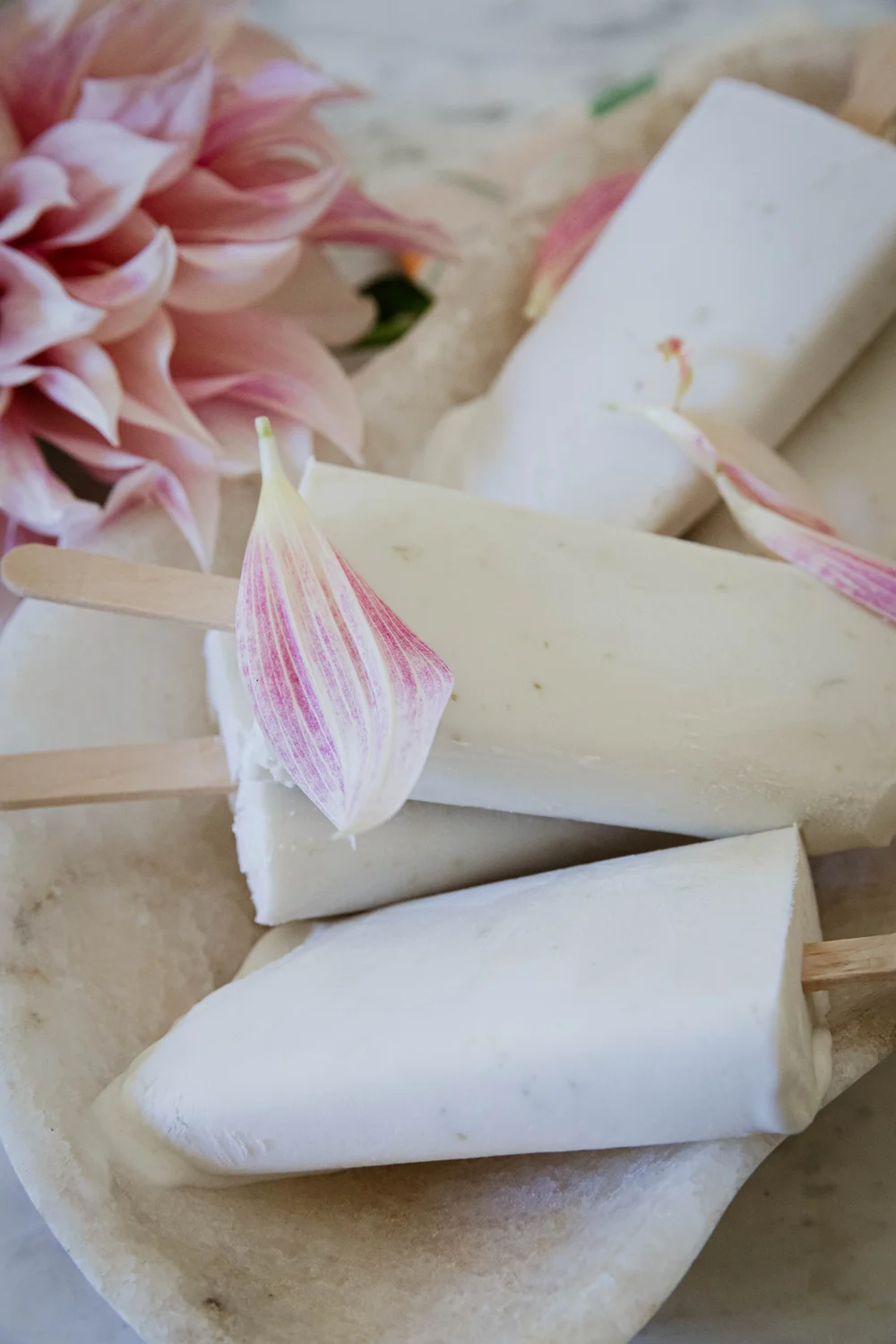 Coconut Yuzu Lemongrass Popsicles — Amalgam Kitchen