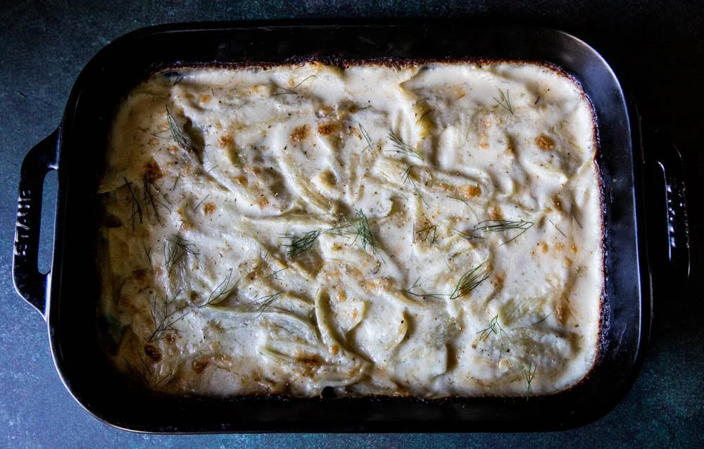 Creamy Goat Cheese Fennel Gratin — Amalgam Kitchen