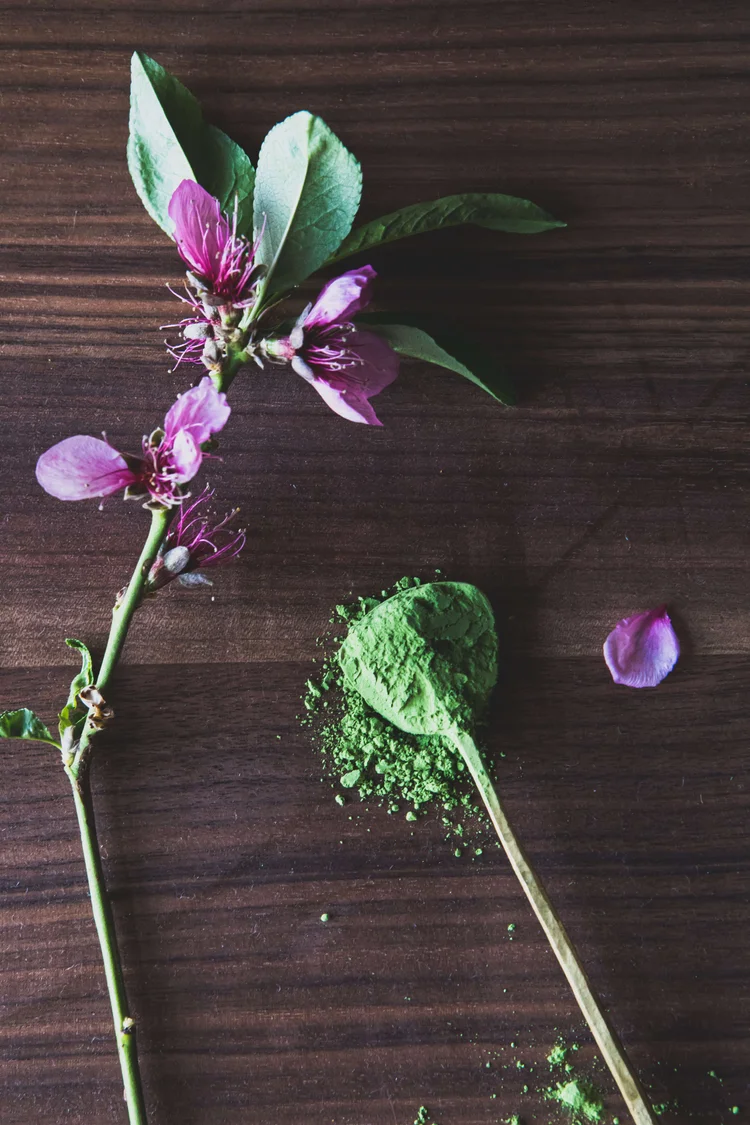 Matcha Tapioca Pudding — Amalgam Kitchen