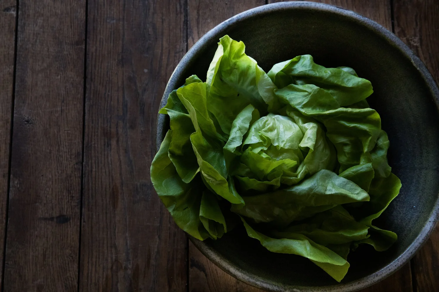 Butter Leaf Lettuce Salad with Fresh Herbs — Amalgam Kitchen