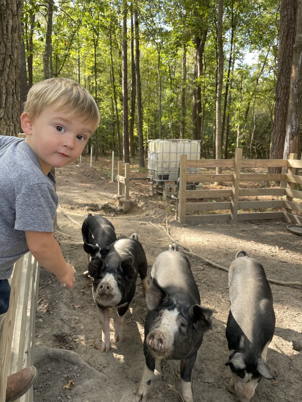 About — R&B Rhyne Farms