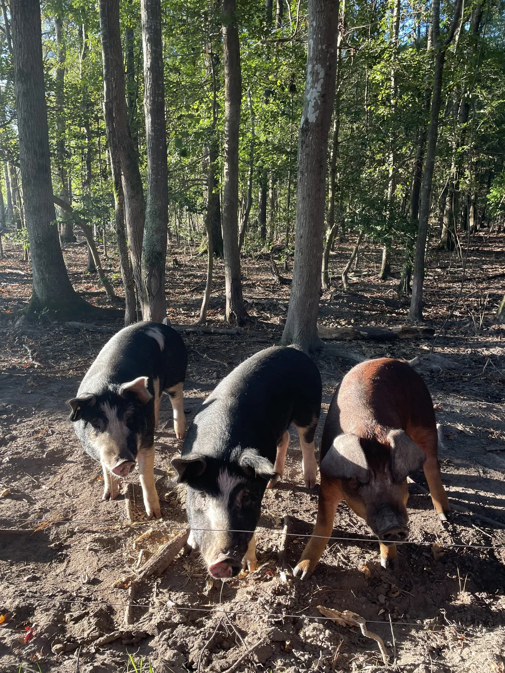 About — R&B Farm