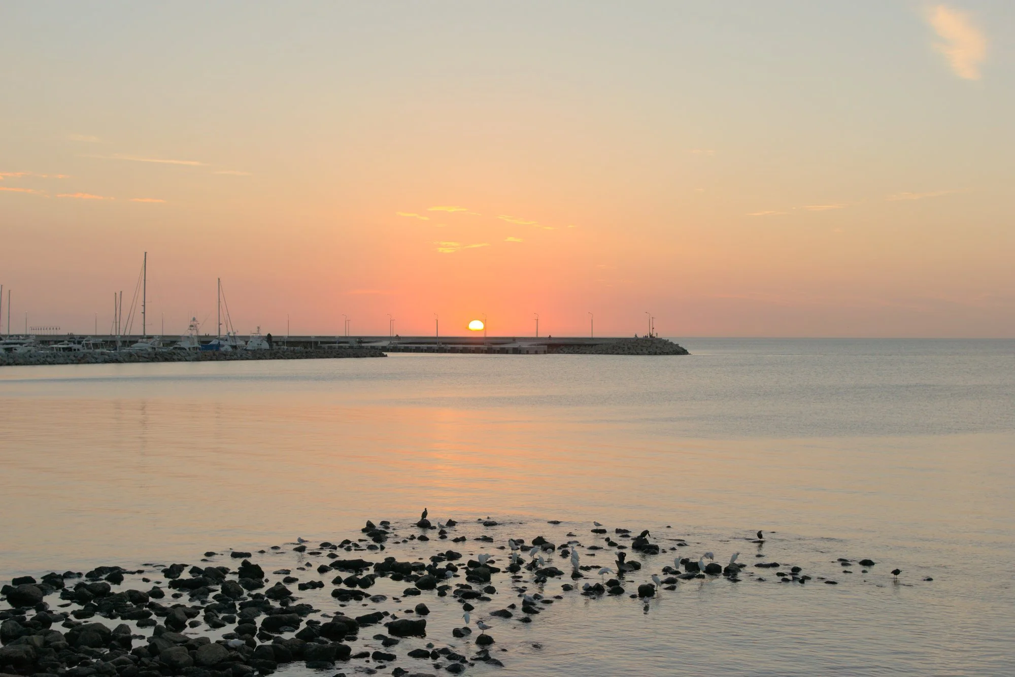 Join Our Affiliate Program For Bloggers And Entrepreneurs — Soulful Girls Studio