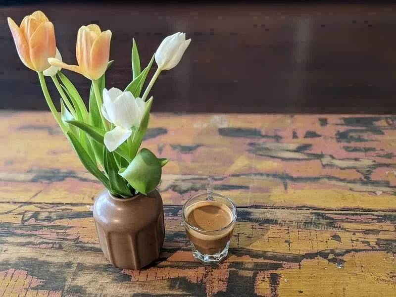 Menu 1 — theaviarykinderhook.com