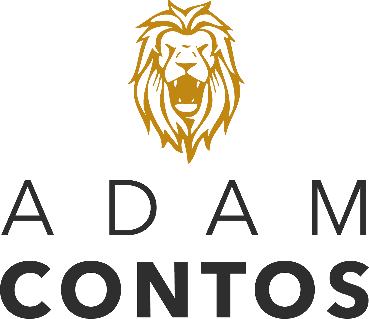 Understanding 10 Levers Of Success Adam Contos understanding-10-levers-of-success-adam-contos