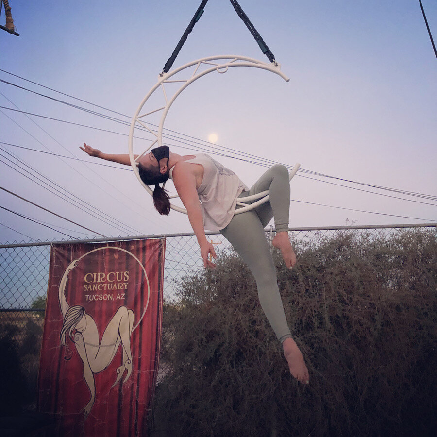 Aerial Silks, Lyra, Trapeze — Circus Sanctuary