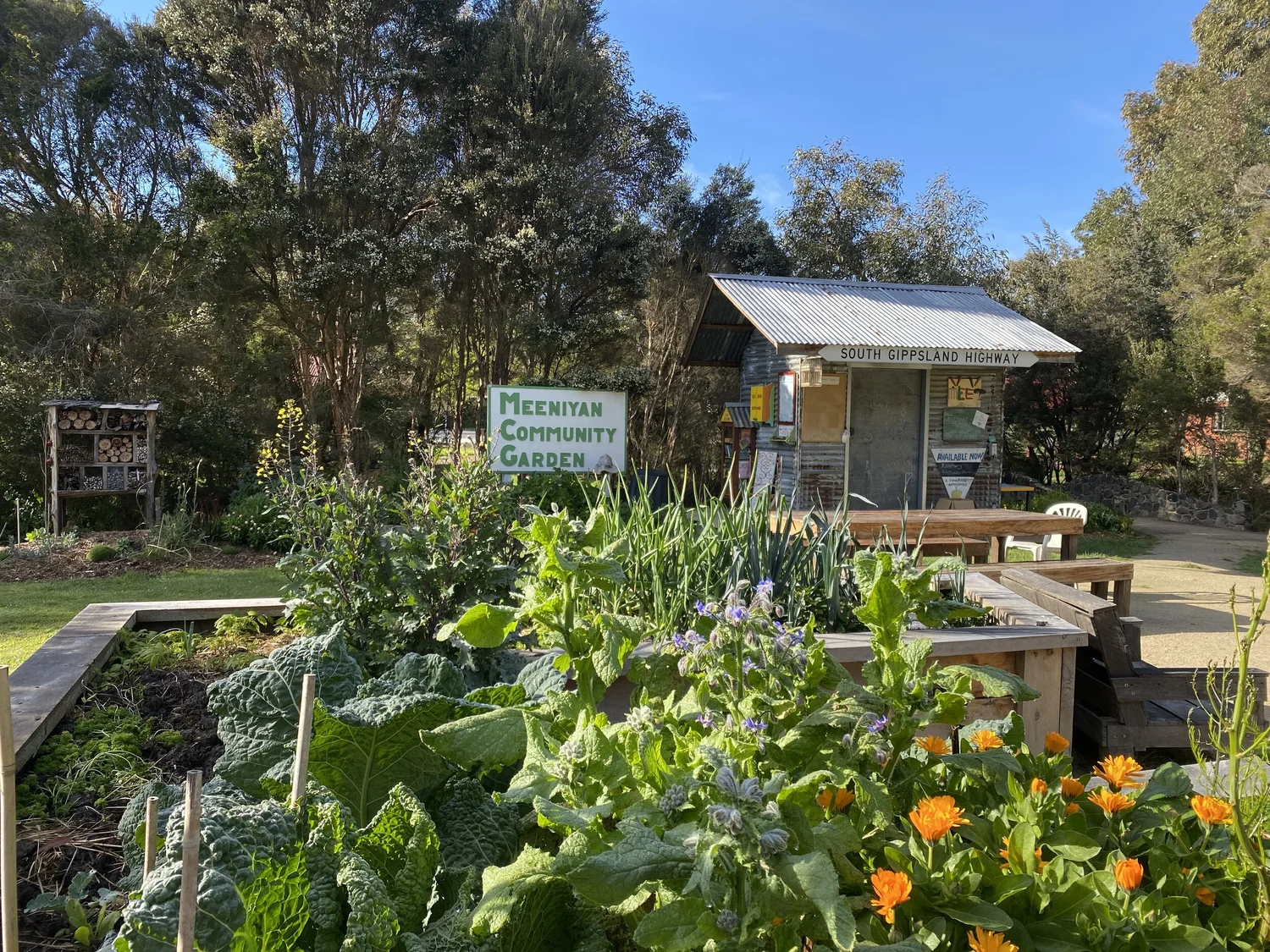 Meeniyan | The Turning Point