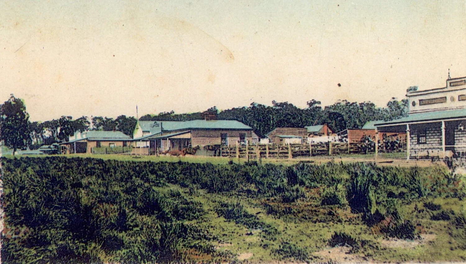 History of Meeniyan — Meeniyan | The Turning Point