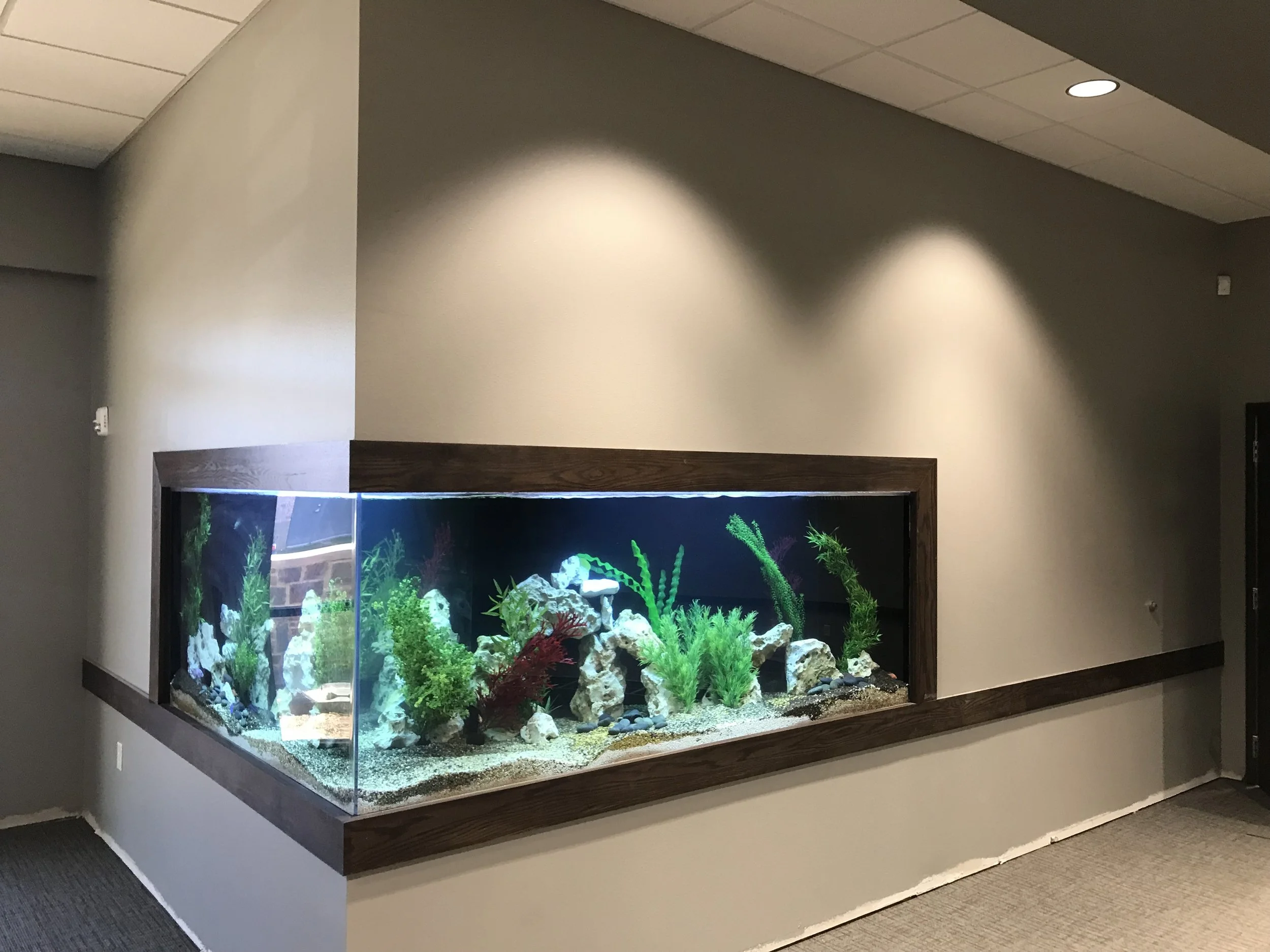 Completed Projects — Aquatic Design Aquariums