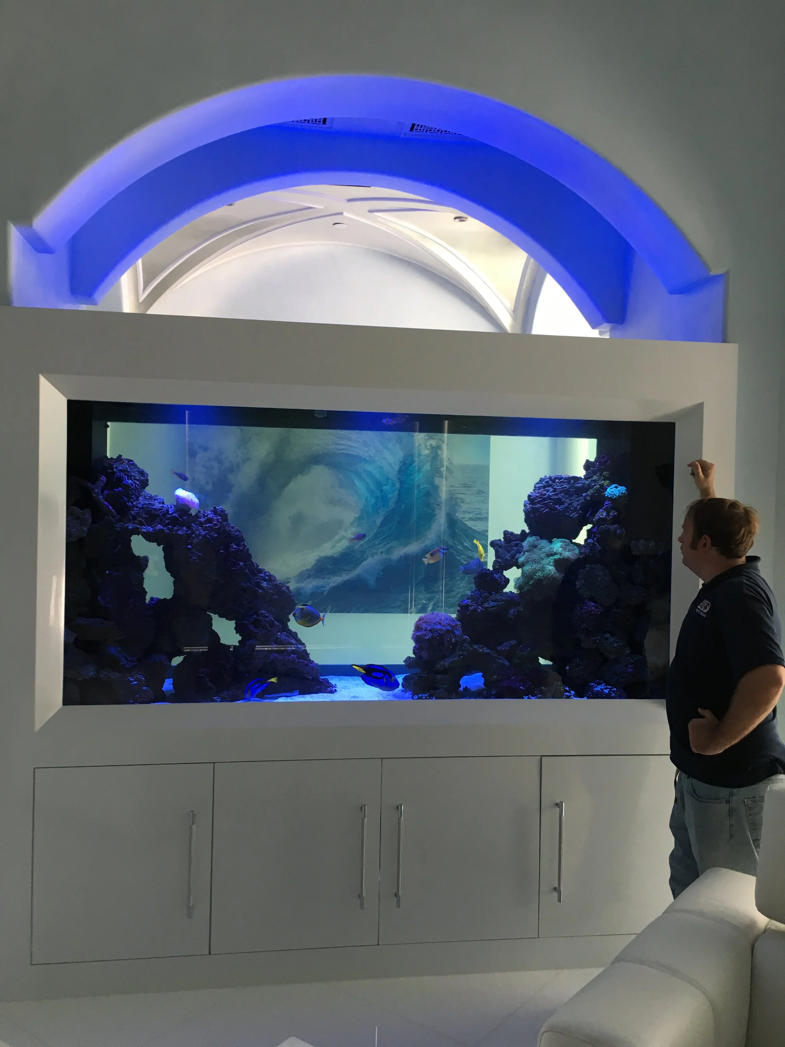 Progress Photos — Aquatic Design Aquariums