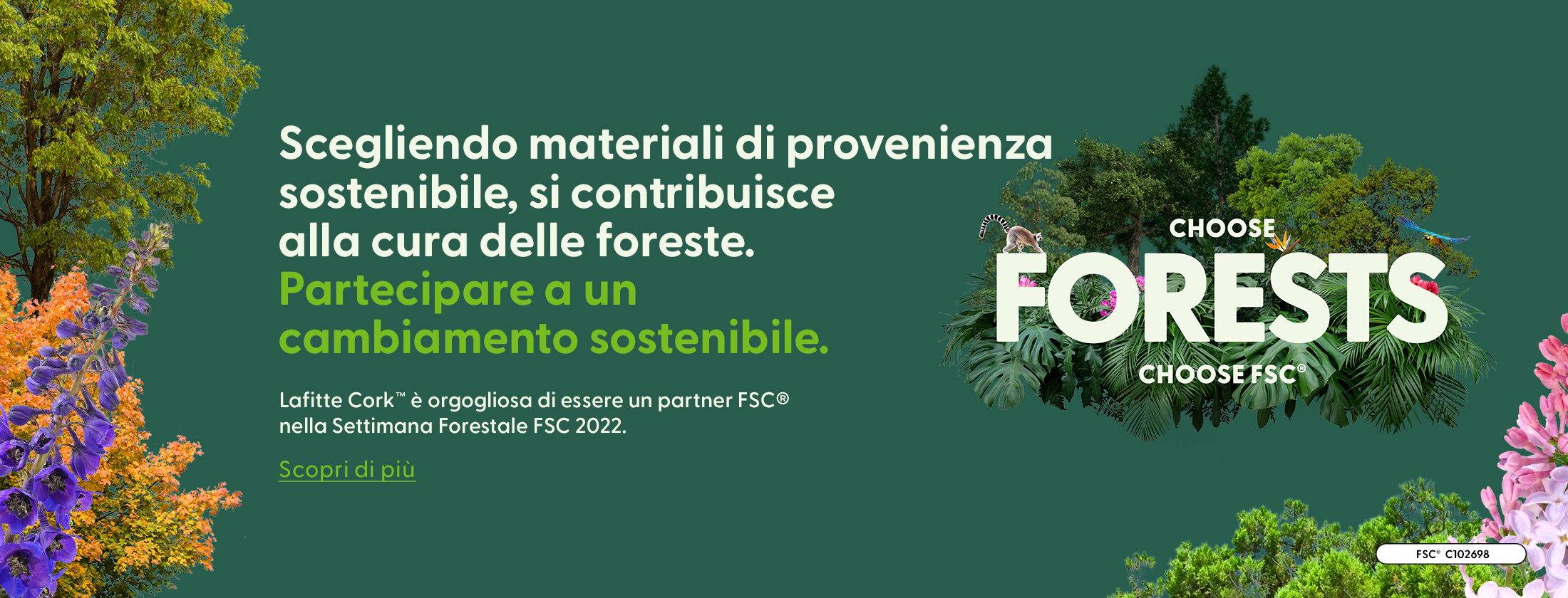 Celebrate le foreste con noi durante la Settimana Forestale FSC® 2022! — Lafitte