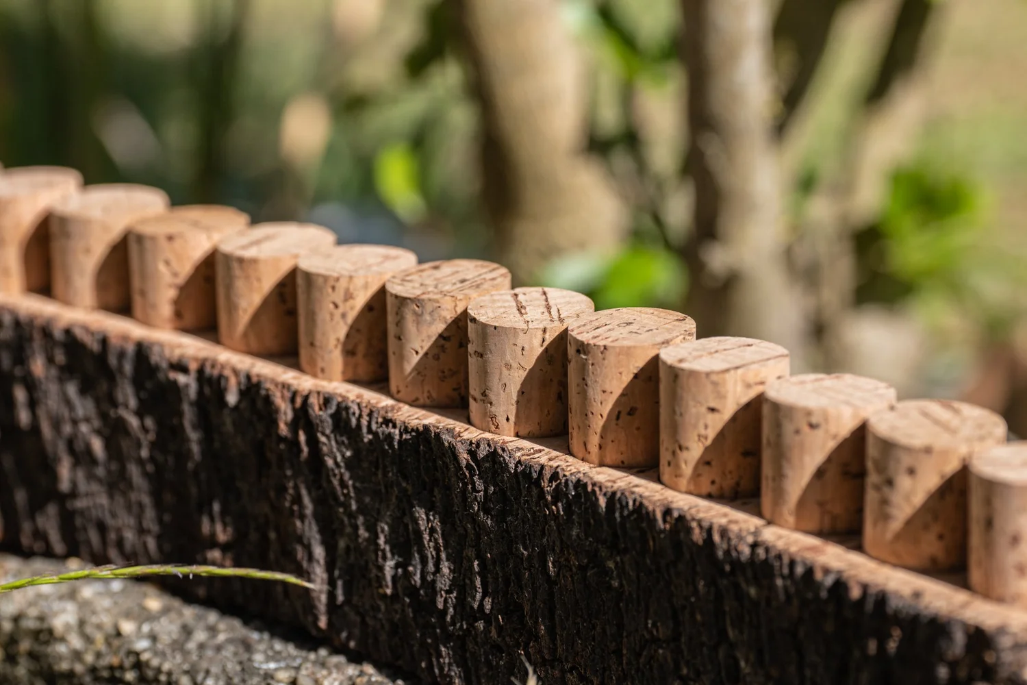 Lafitte Cork & Capsule — Lafitte Cork