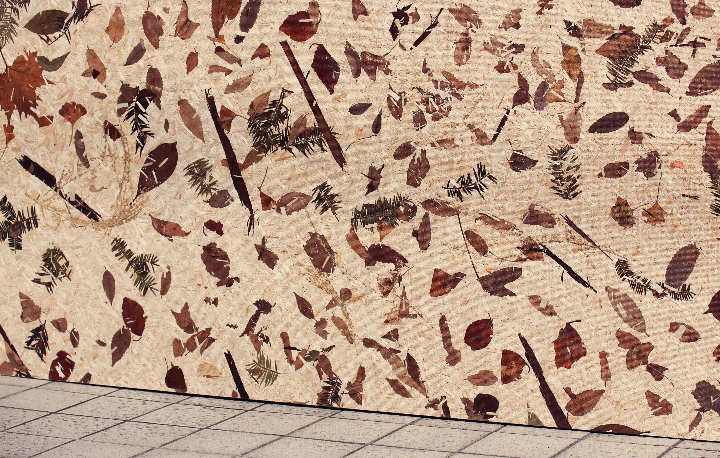 Tokyo Nature Project | Connecting Forests and Cities with Sustainable ...