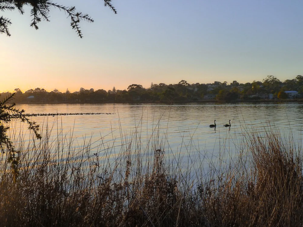 Swan Estuary Reserves Action Group Inc. | SERAG