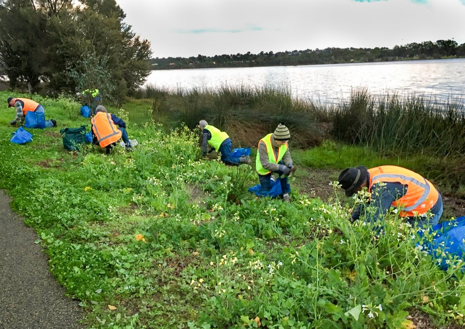 General 1 — Swan Estuary Reserves Action Group Inc. | SERAG