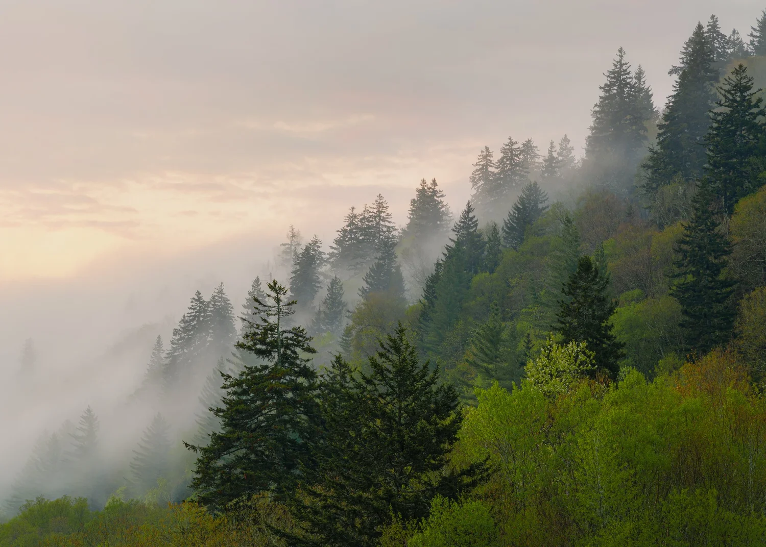 Getting Started with Landscape Photography | Tips to Improve Your ...