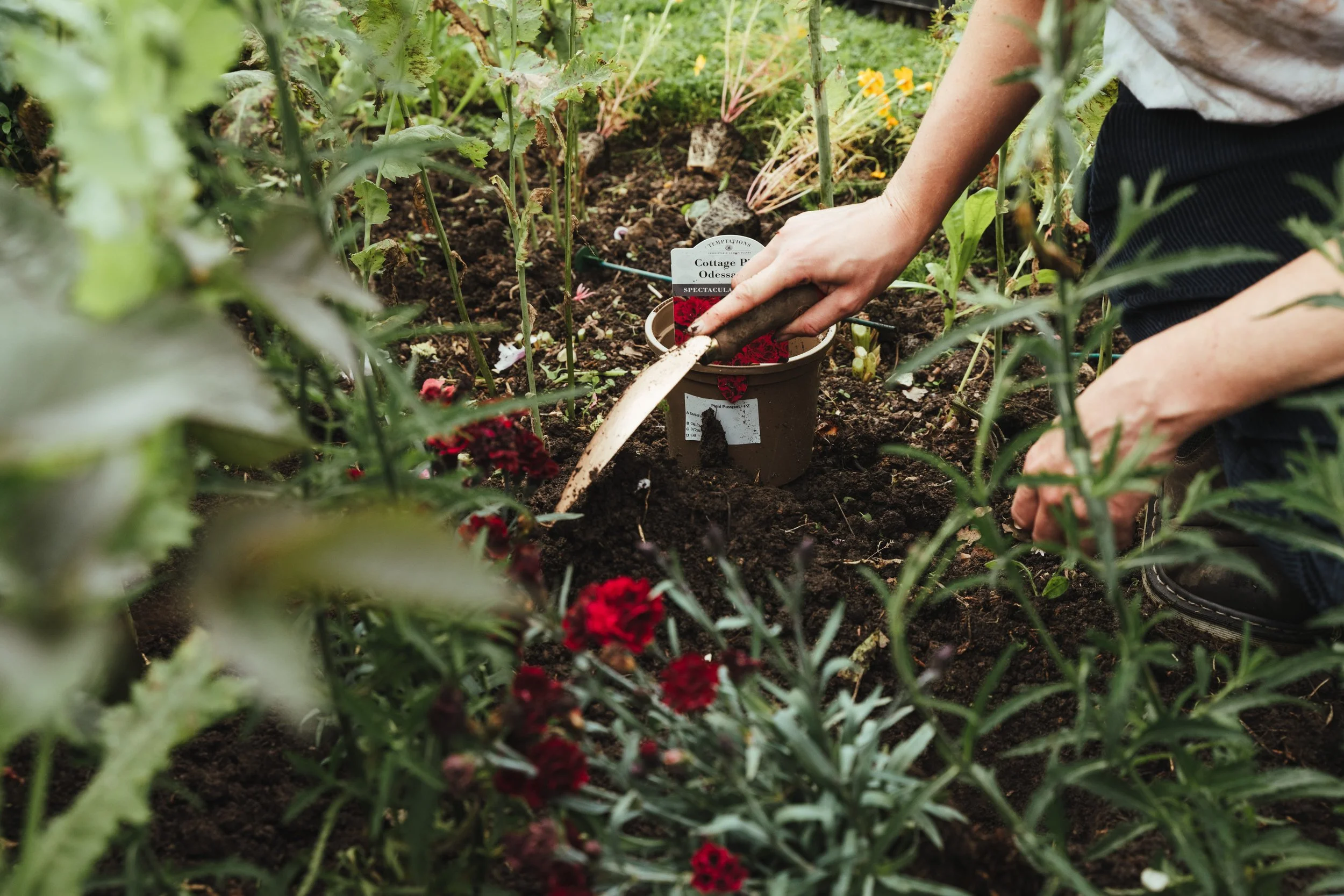 Gardens — Falconhurst