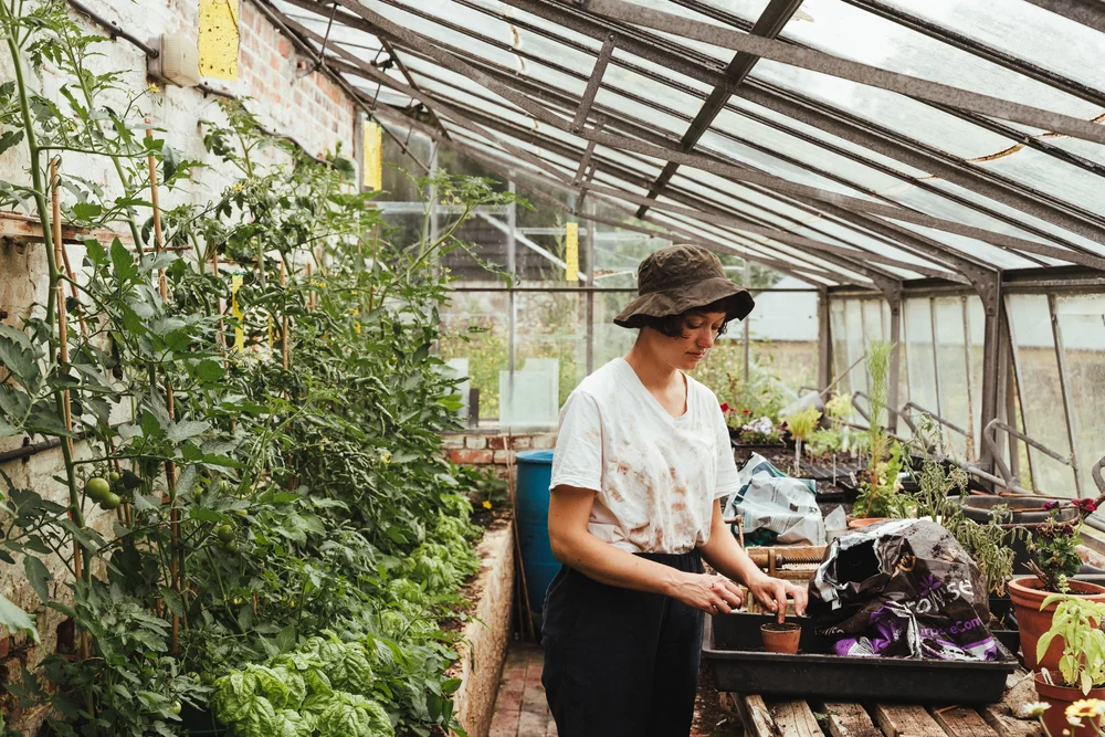 Gardens — Falconhurst