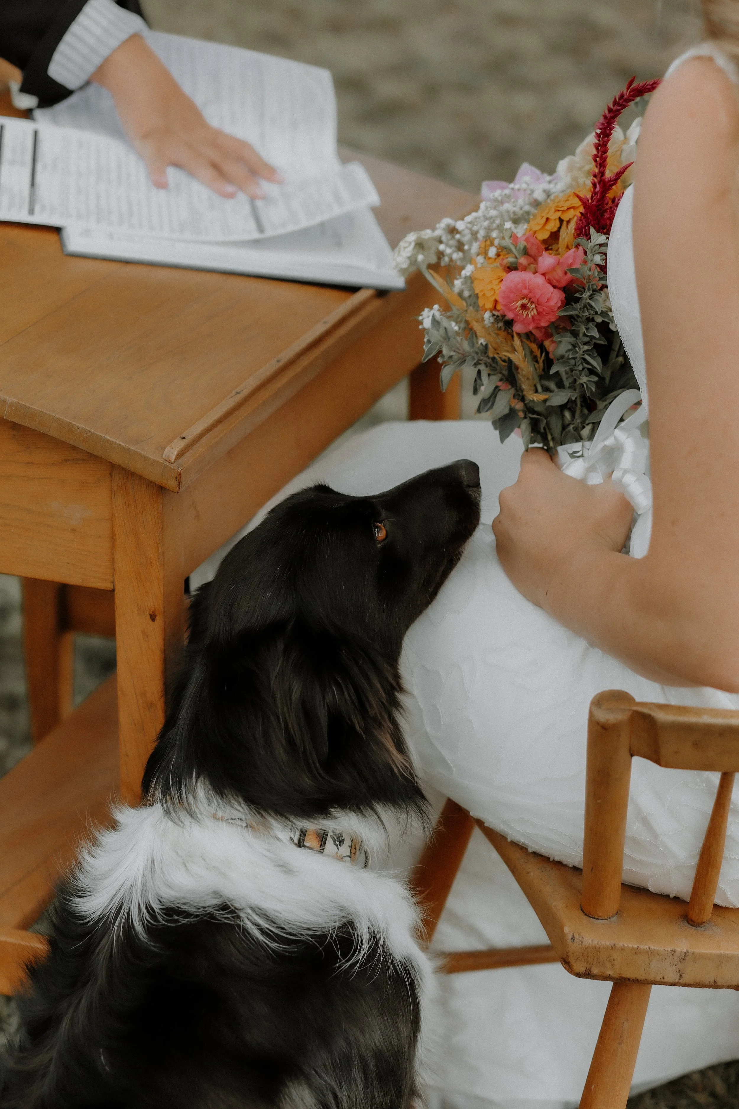 Emily Waters Photography