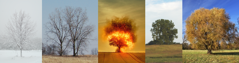 Michelle Regalado Deatrick