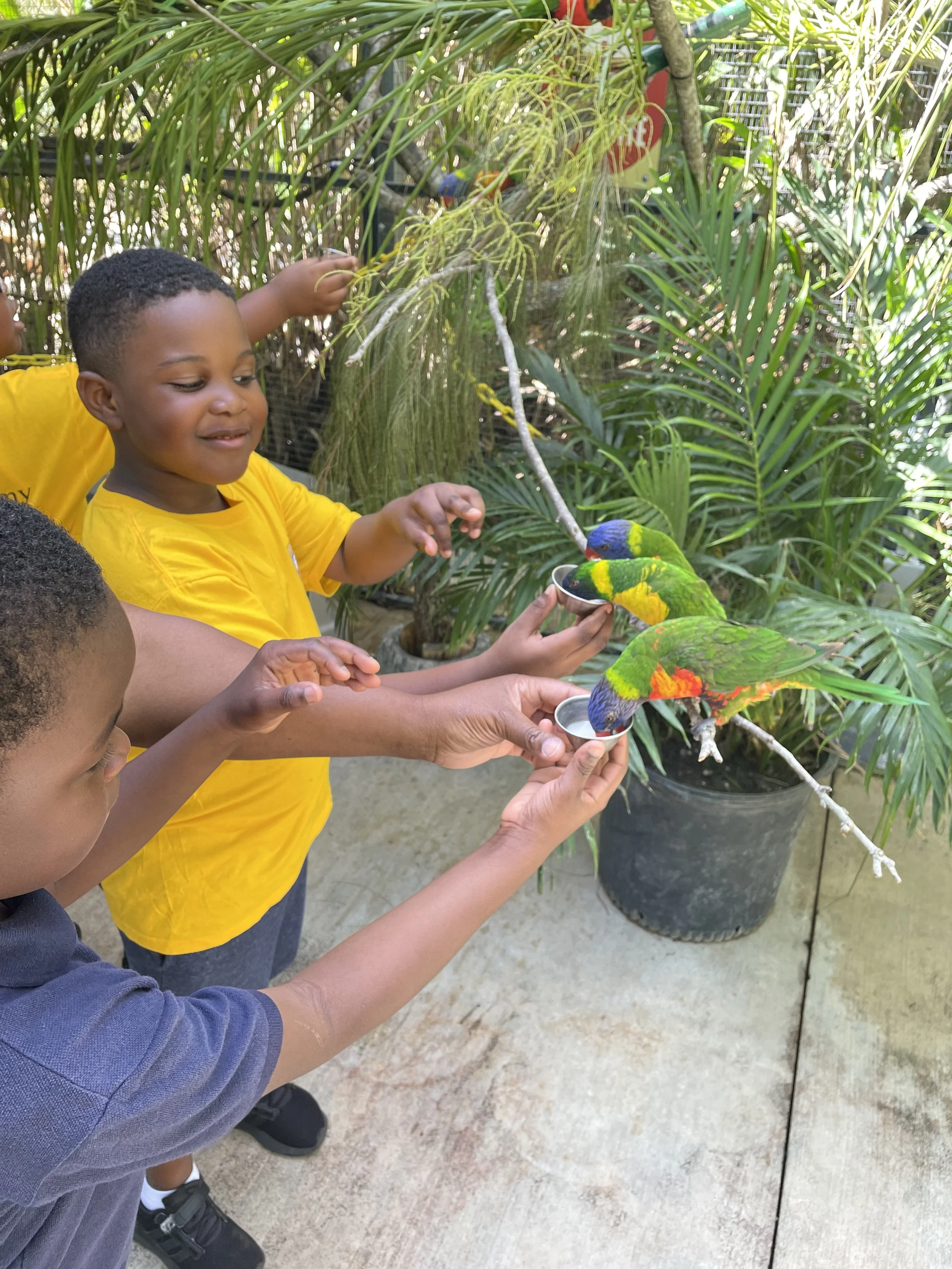 Field Trips — Liberty Academy