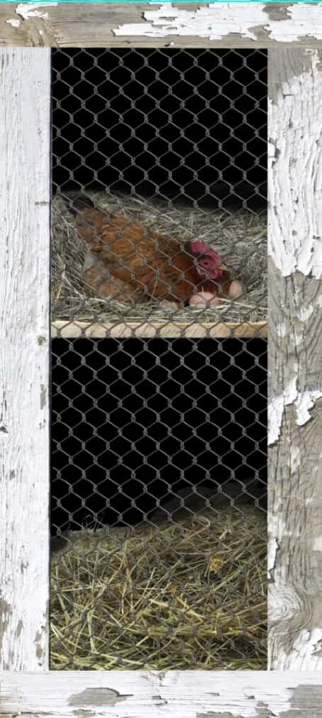 Chicken Coop Rustic Refrigerator Wrap