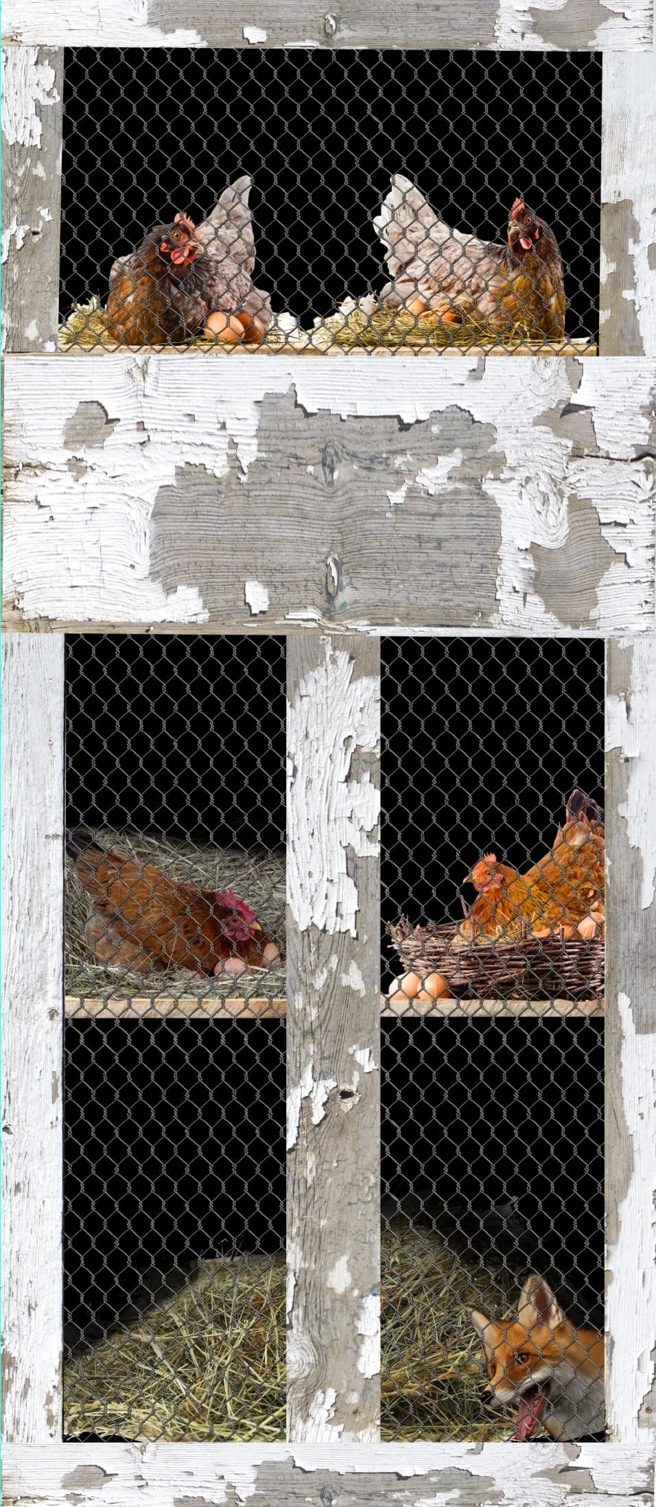 Chicken Coop Custom printed Vinyl Door Wrap