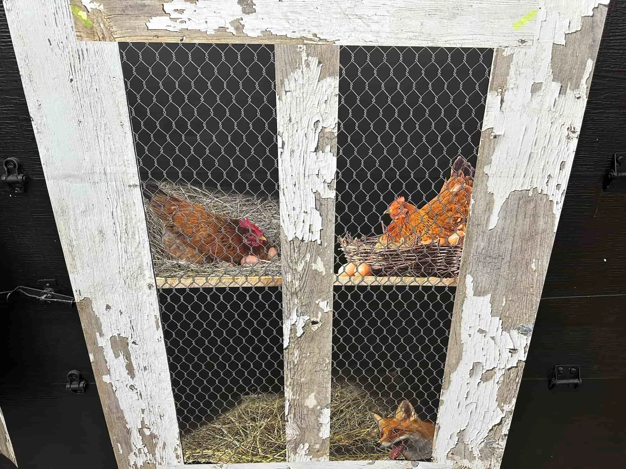 Chicken Coop Rustic Refrigerator Wrap — RM wraps LLC