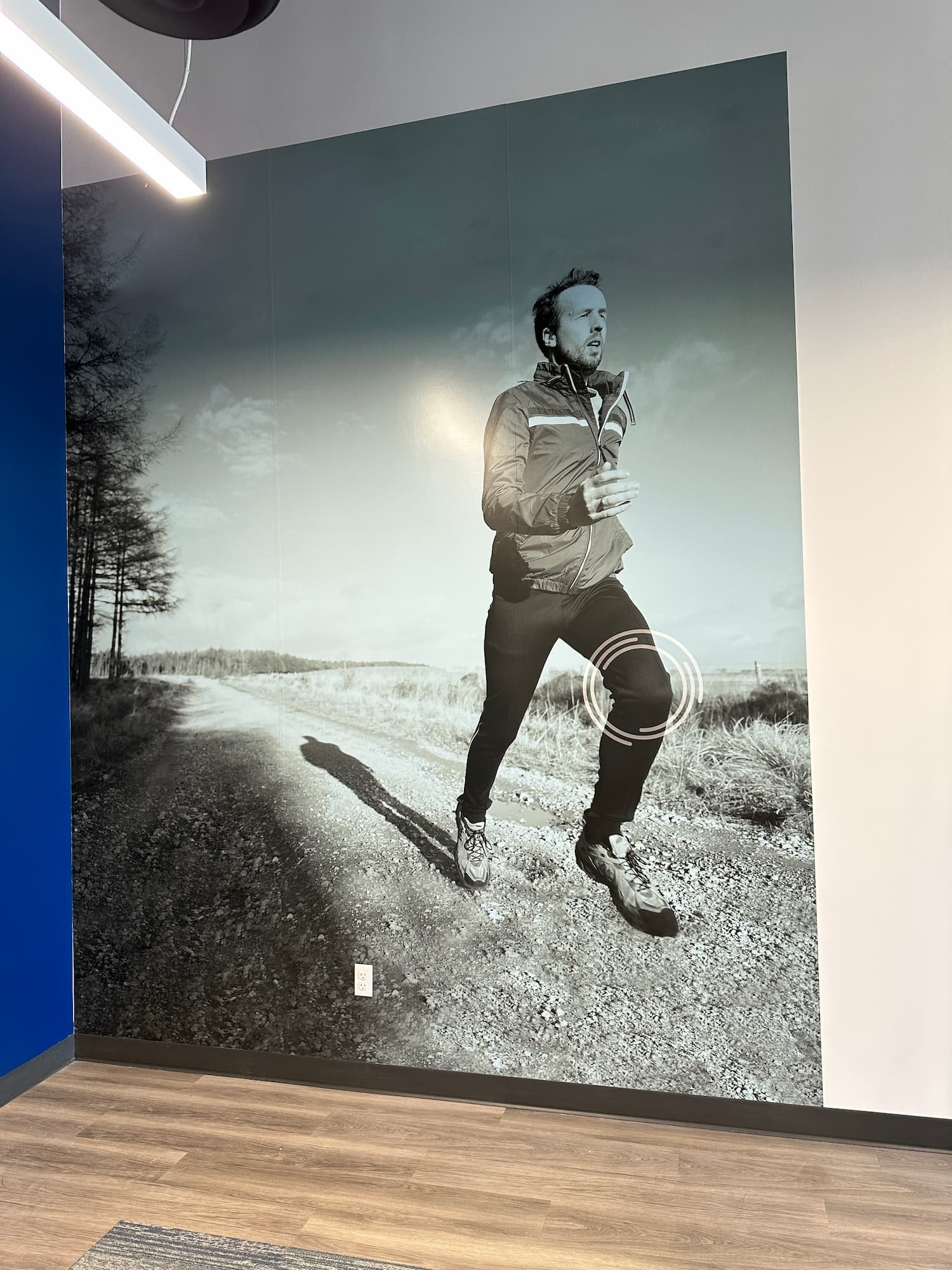 Wall & Window Graphics @ Stretch Zone® Meridian