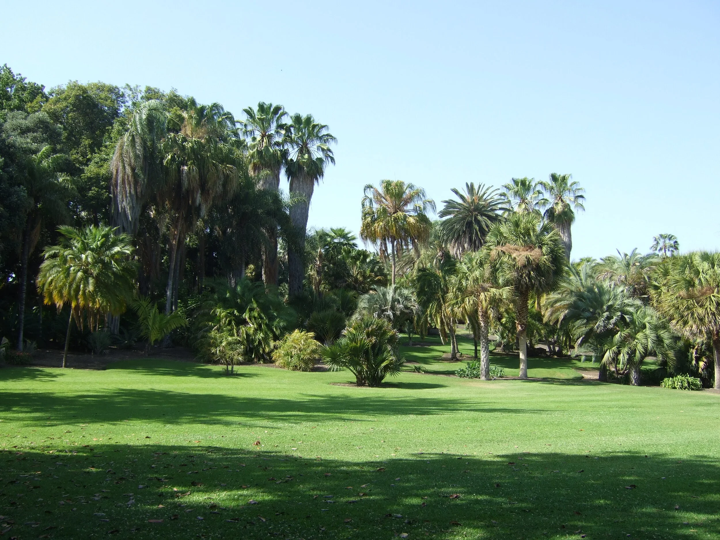 Chelsea Hill: A Space for Writing