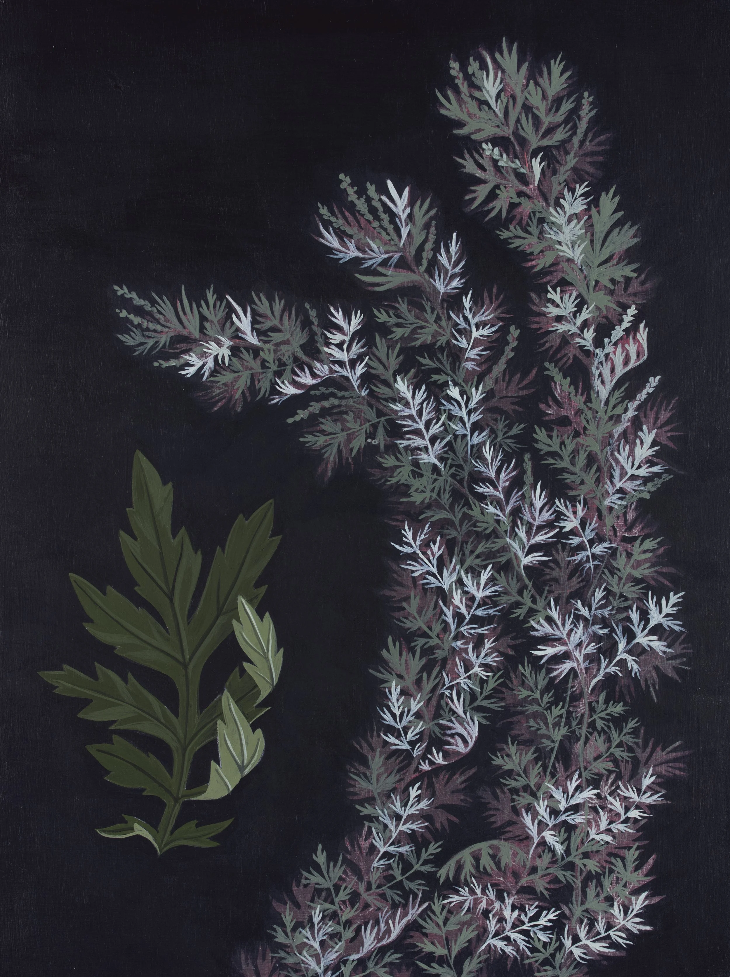 Shop — Erica Peebus Art