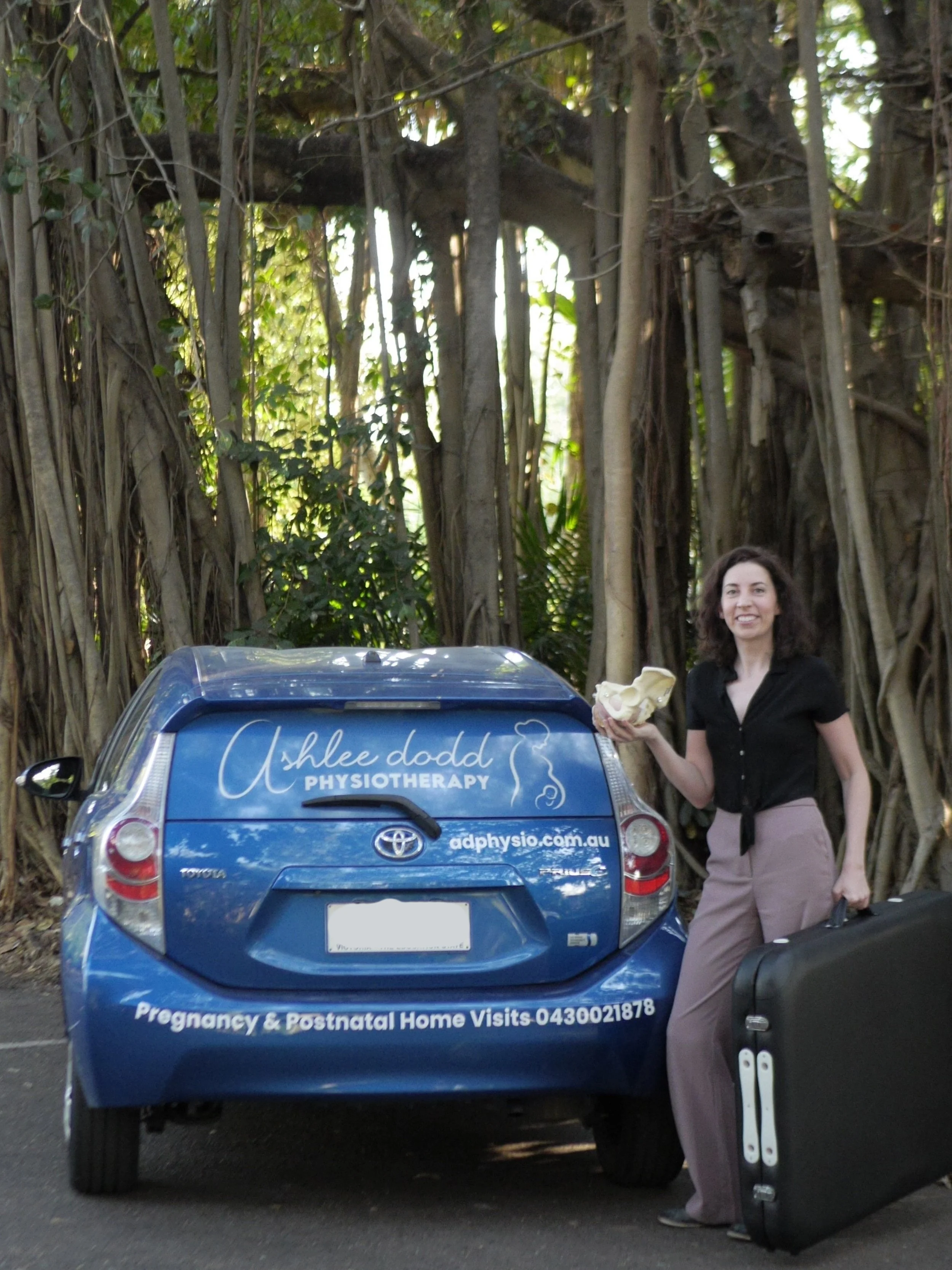 Ashlee Dodd Physiotherapy — Darwin Women's Health Physiotherapy Home ...
