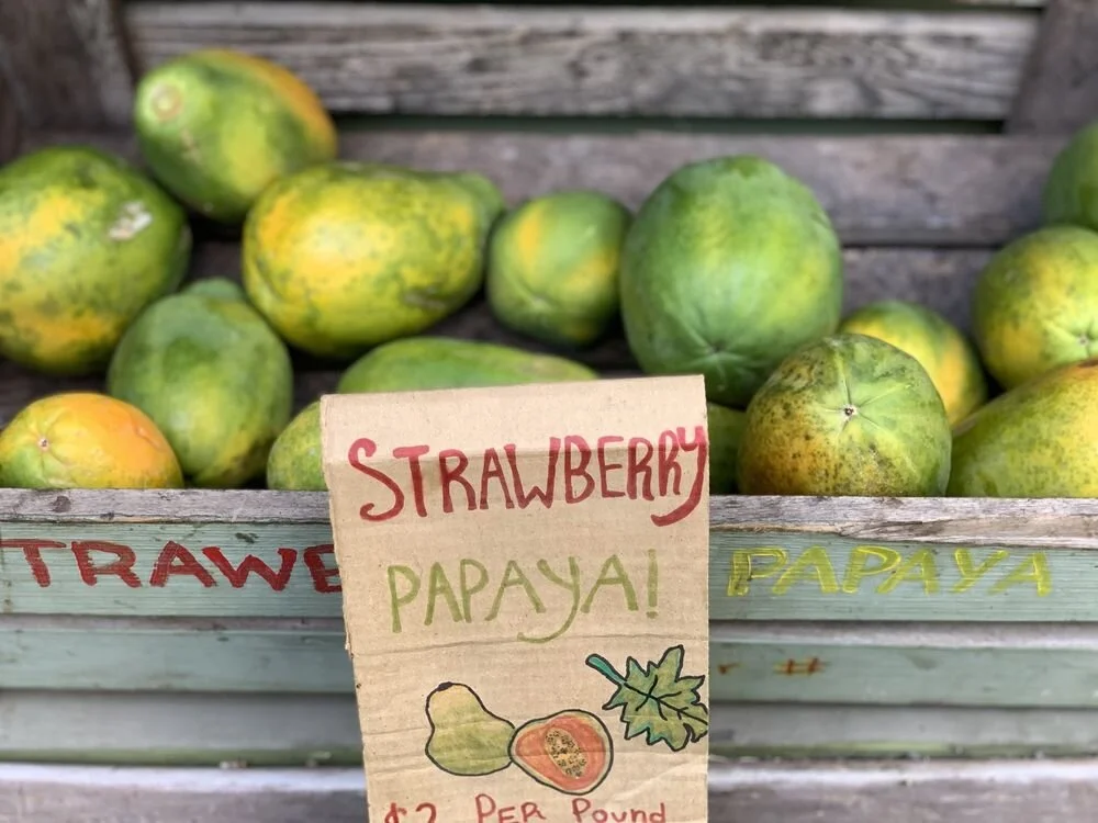 Laulima Farm | Explore