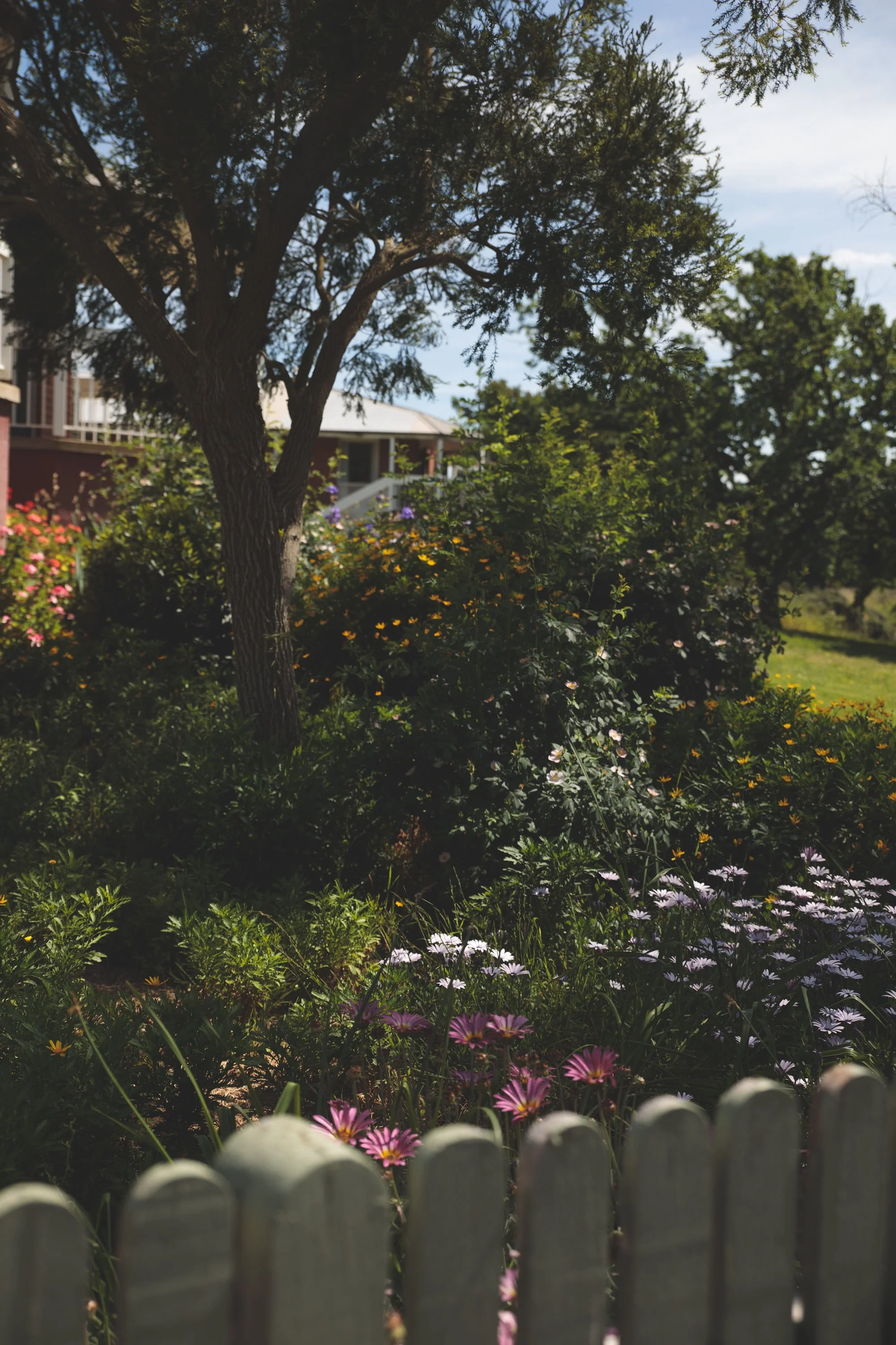 About — The Farm in Galong