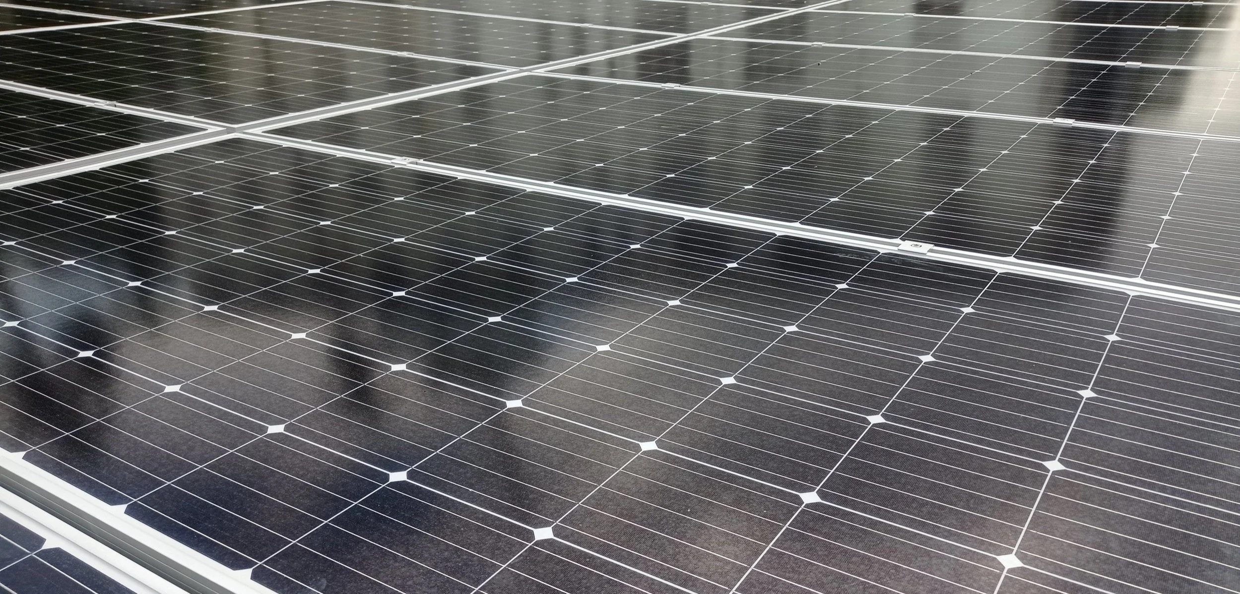 Who We Are — Indigo Energy