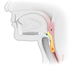 swallowassessment — Swallow Ability