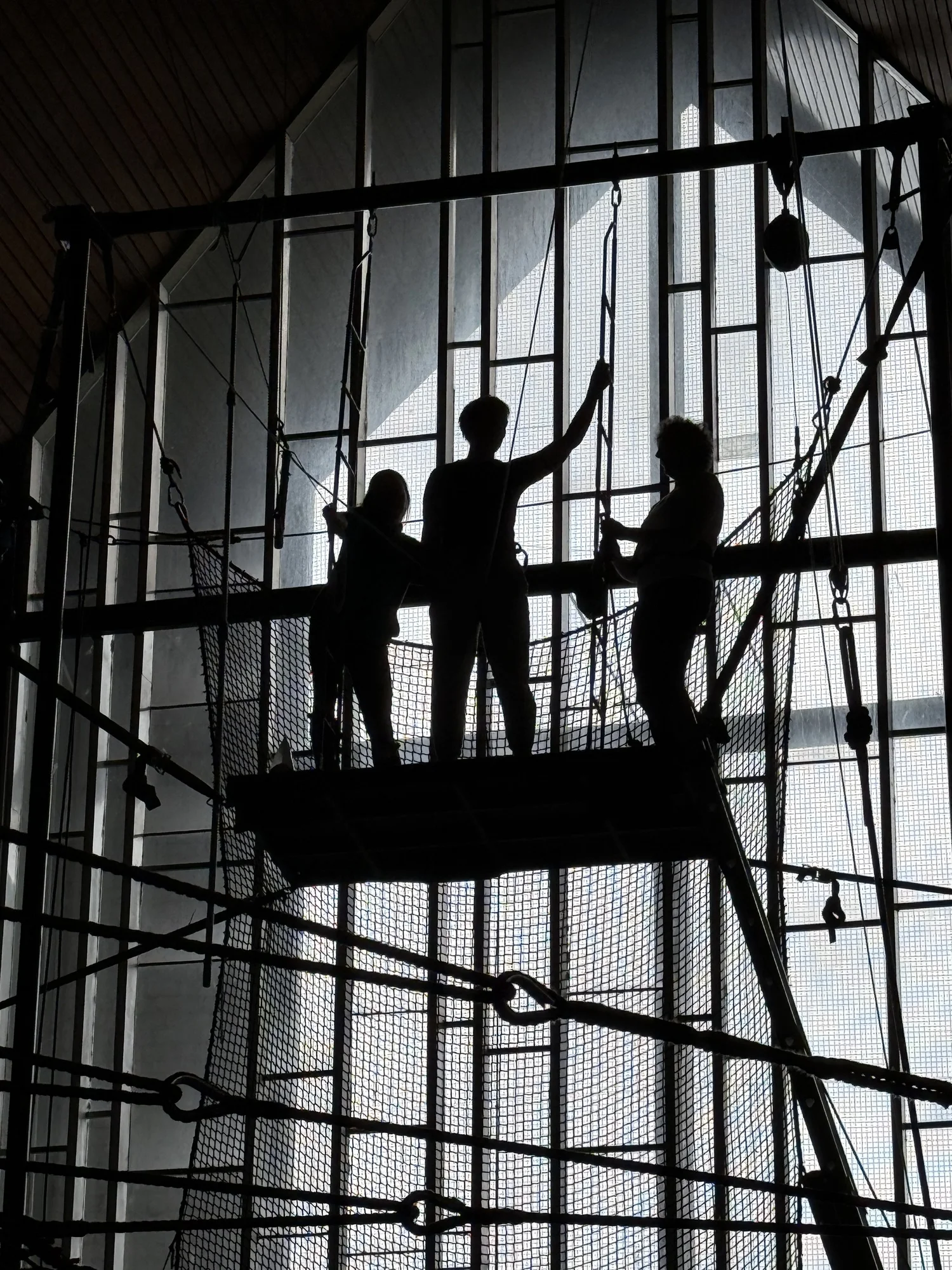 Flying Trapeze Classes — Community Circus Paisley