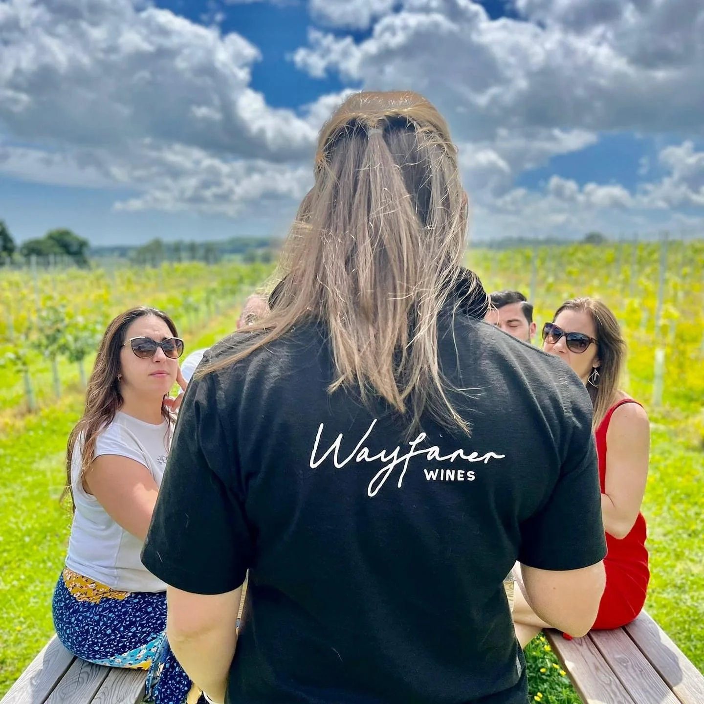 Wayfarer Wines