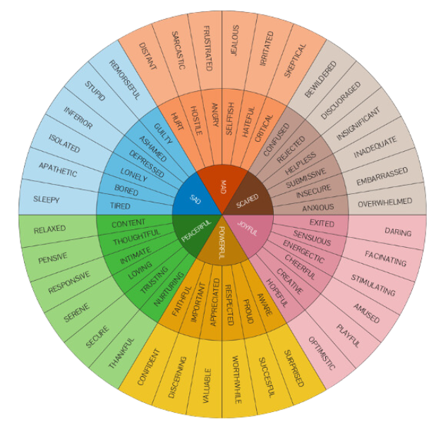 The Butterfly Effect and Feelings — Therapy Resources of Morris County