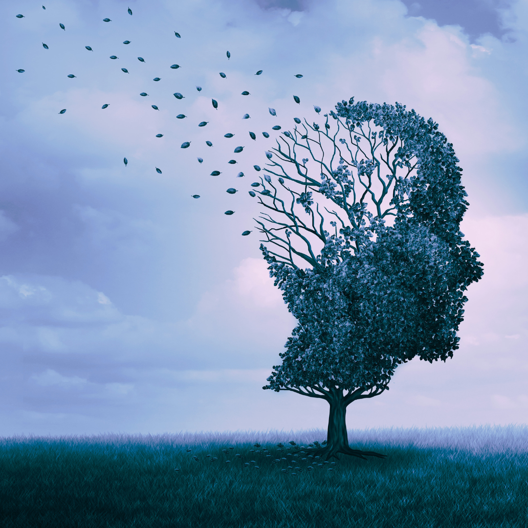 Series: Healthy Brain Aging, Prevention — CVFP Crowfoot Village Family ...