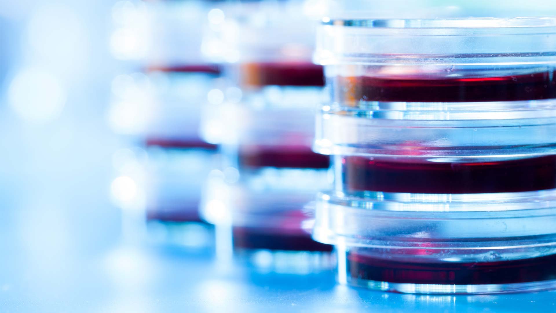 Progressive Medical Research