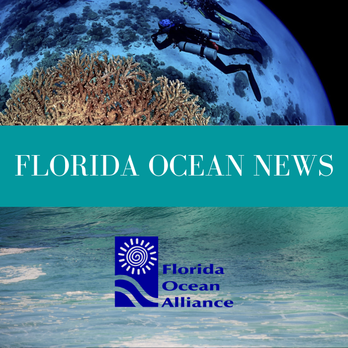 Florida Ocean News — Florida Ocean Alliance