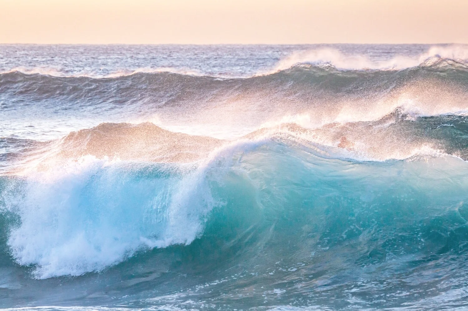 Florida Ocean Alliance