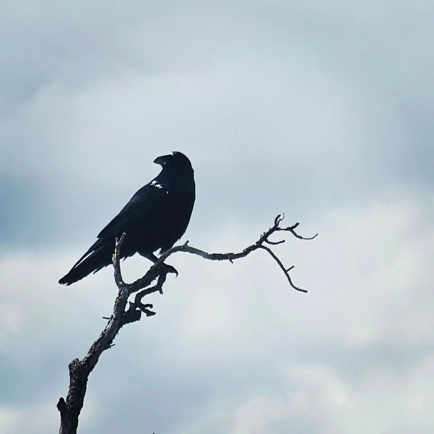 Gallery 1 — Stacy Luecker Photography